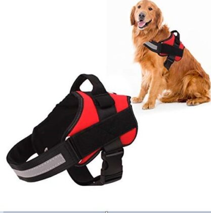 Best Velcro Dog Harness | My Dog Training Collar Velcro