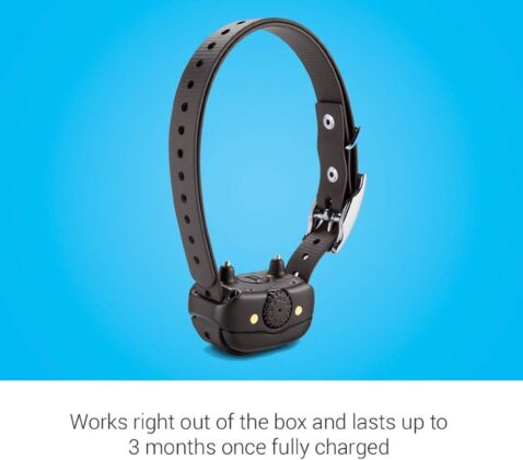 Garmin BarkLimiter Deluxe Review | My Dog Collar